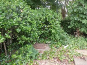 University SuDs scheme - Case Studies - Detectronic - Wastewater ...
